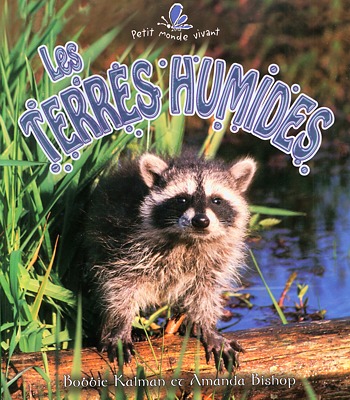 Constellations : Les terres humides