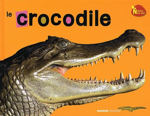 Constellations : Le crocodile